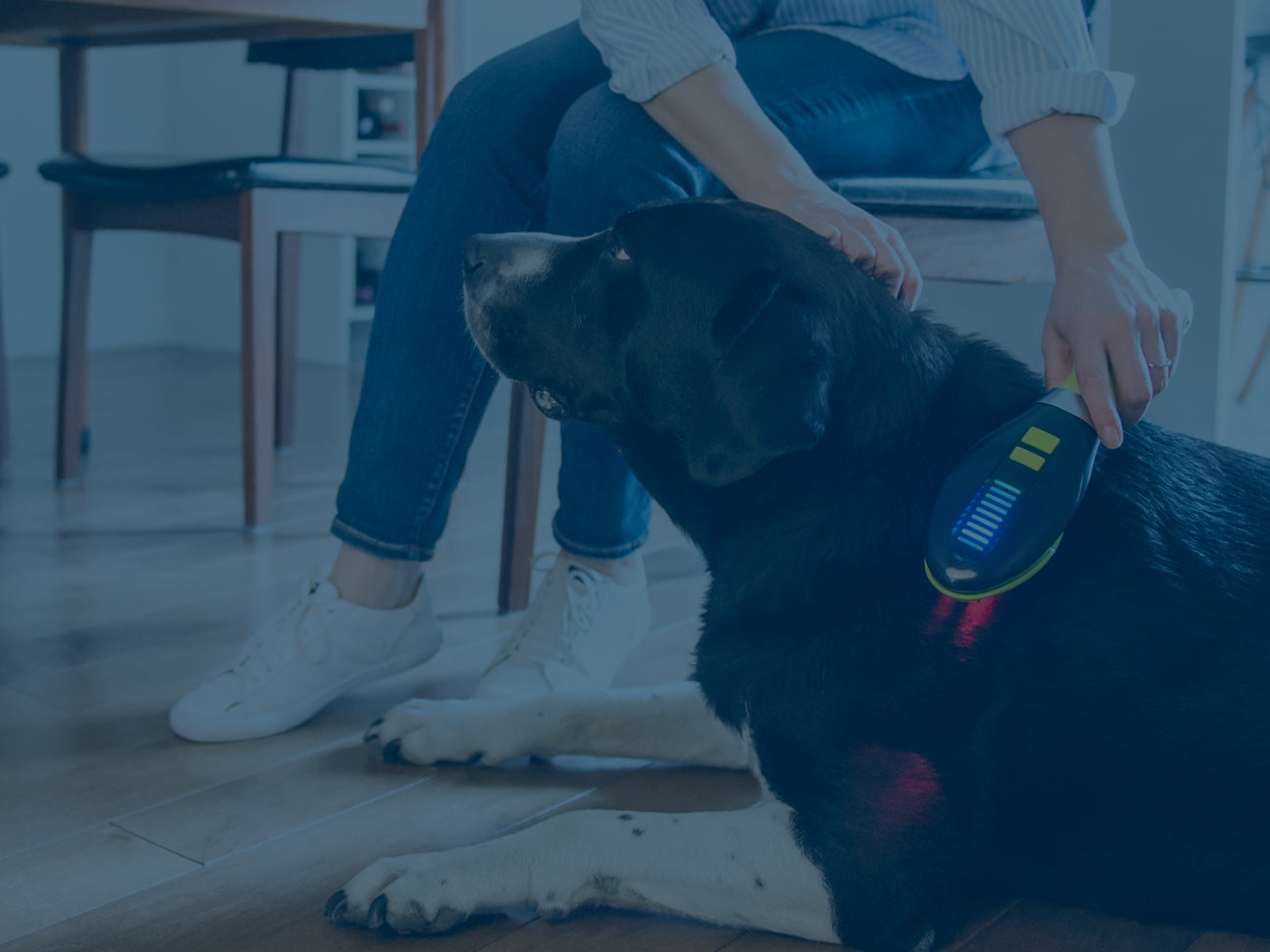 Science & Technology Behind the Dog Med Laser